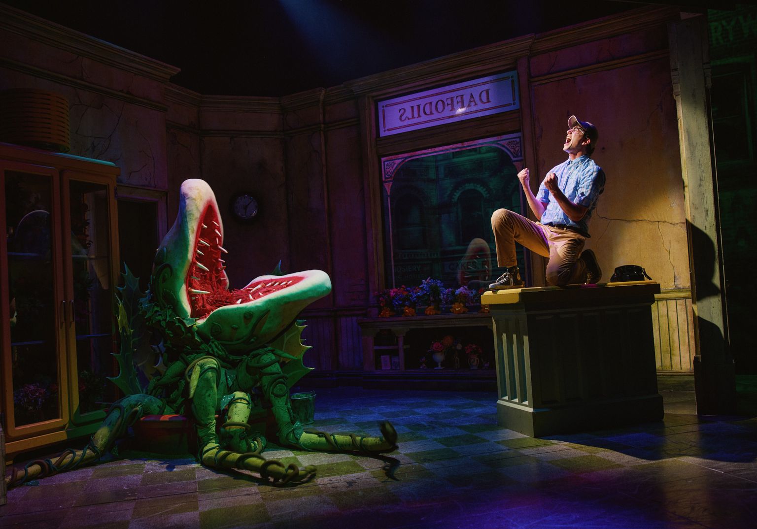 Billets pour Little Shop of Horrors à New York - CNEWYORK